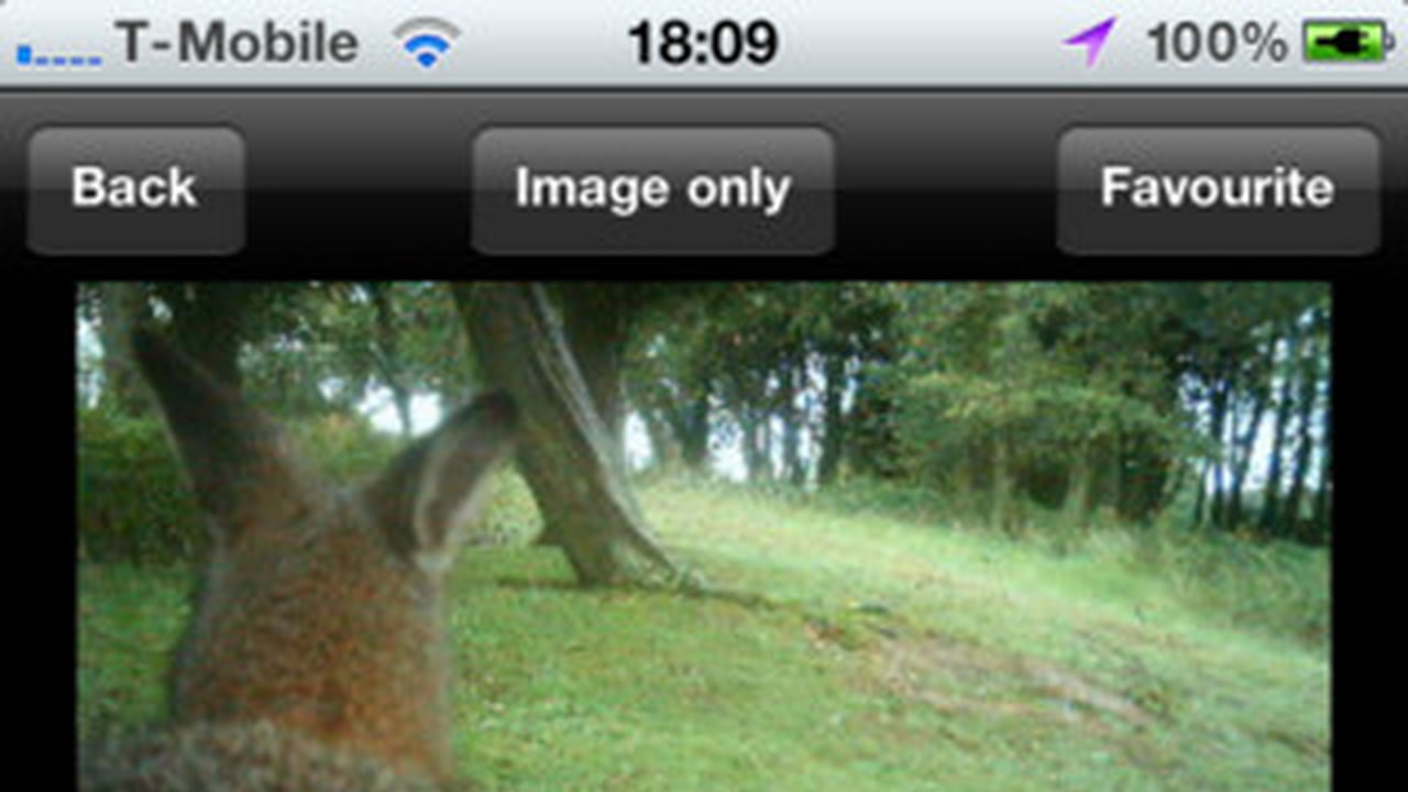 Instant Wild App Shows You Live Photographs of Animals Across the Globe ...