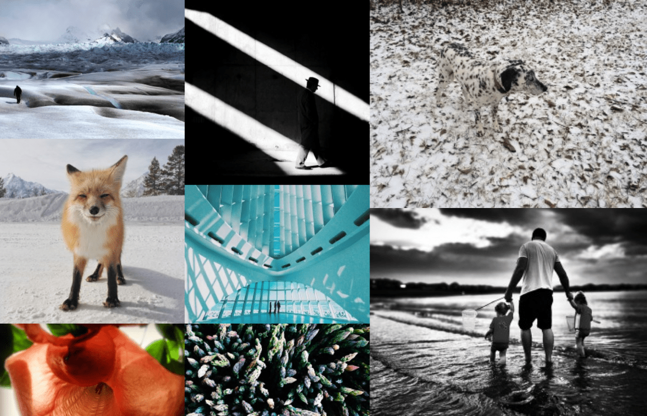 Winners of the 2014 iPhone Photography Awards Announced - iClarified