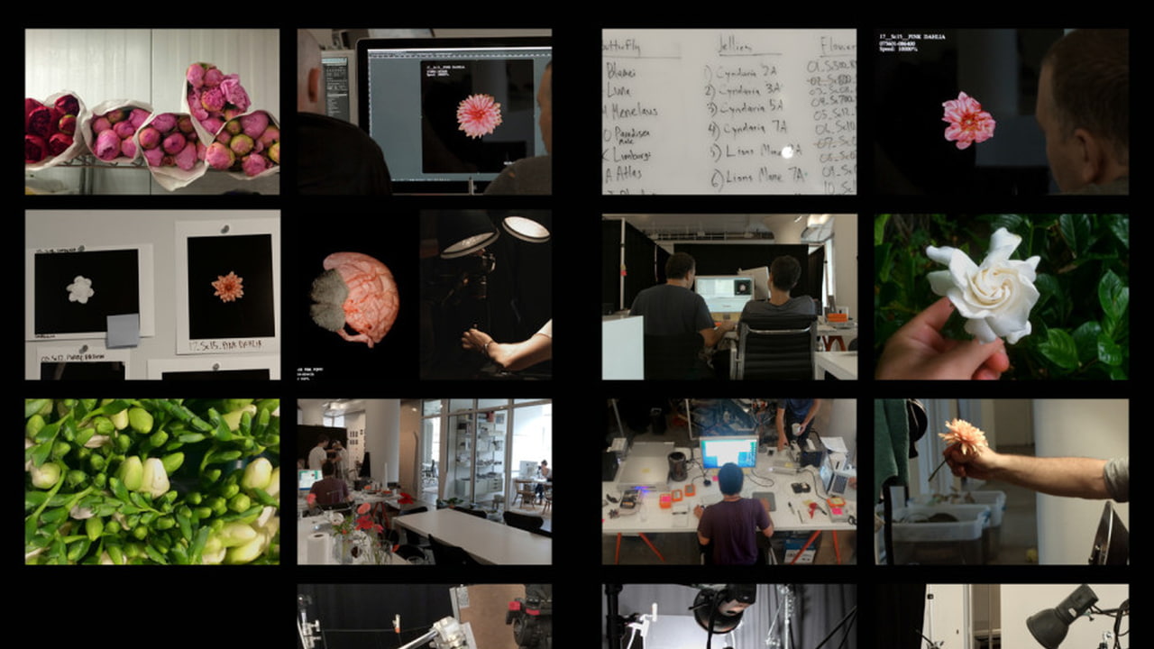 Apple Human Interface Chief Details Insane Amount of Work That Went ...