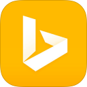 Bing App Gets Private Search Mode, New Image Search, In-line Video ...