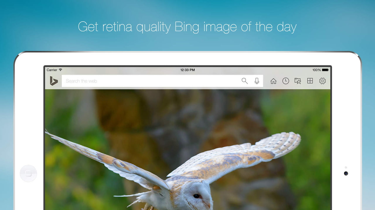 Bing for iPad Gets New Image, News, and Video Search Experiences ...