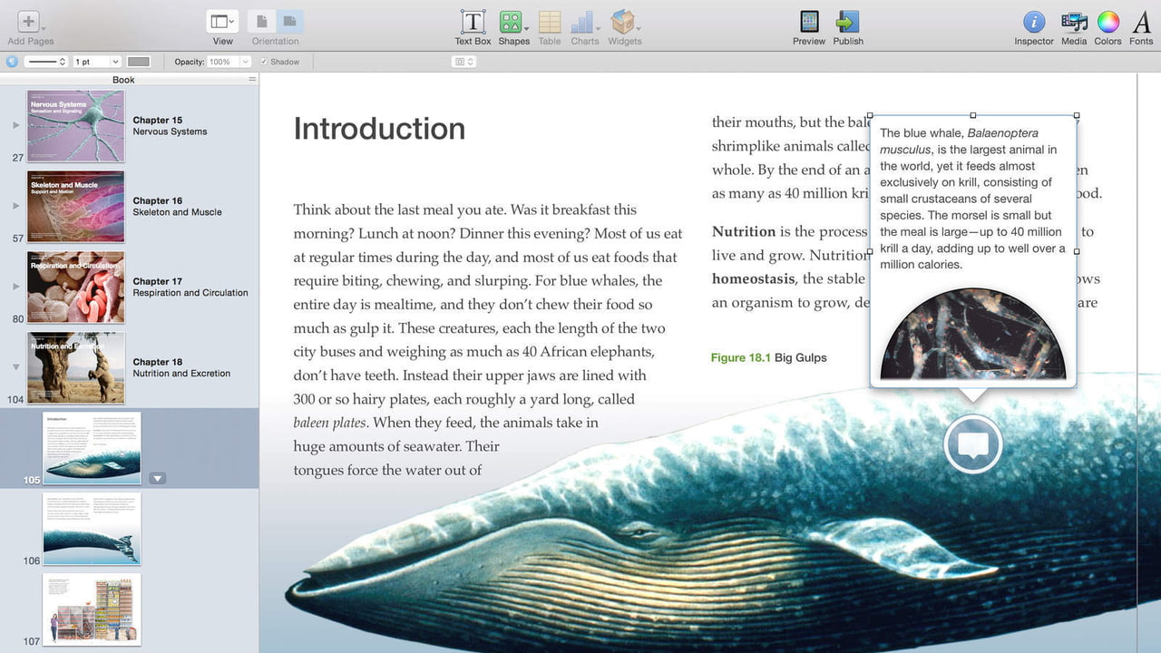 iBooks Author Gets New Templates, Improved Workflows, More - iClarified