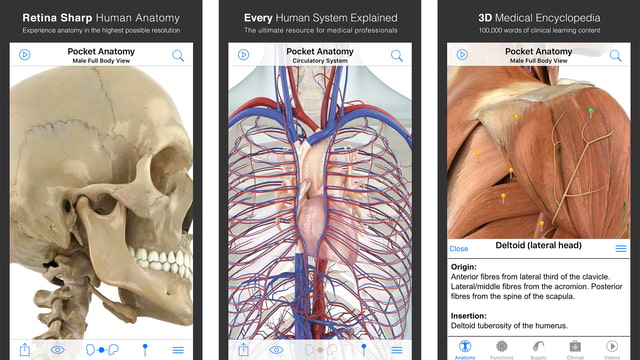 Download the Pocket Anatomy App for Free [Deal] - iClarified