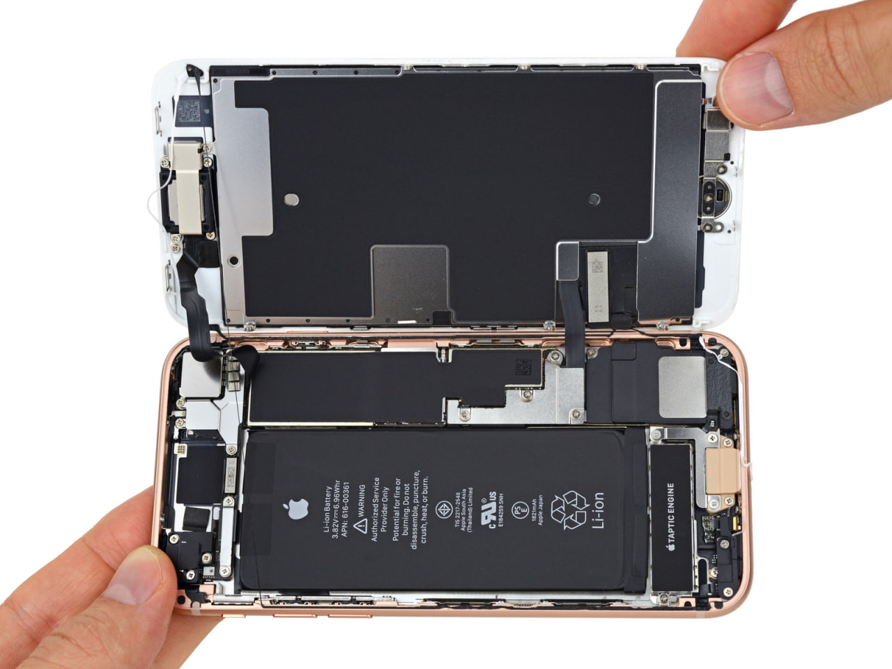 iFixit Posts iPhone 8 Teardown [Photos] - iClarified