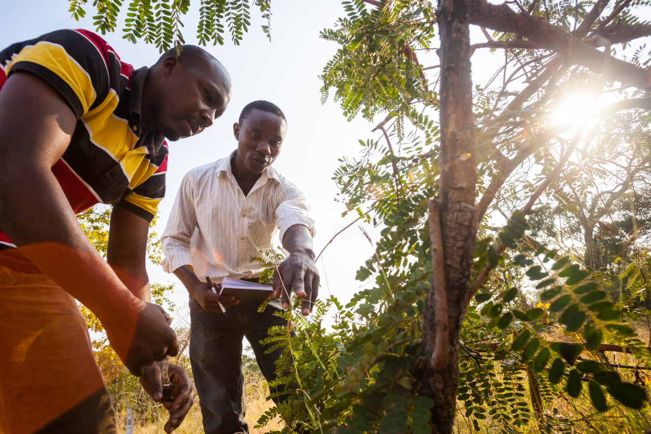Apple Unveils New iPhone Disassembly Robot 'Daisy', Announces Donation ...