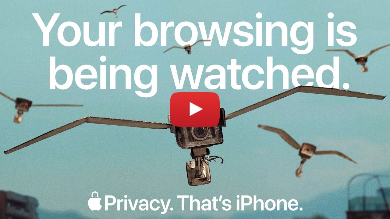 Apple Shares New Privacy on iPhone Ad: 'Flock' [Video] - iClarified
